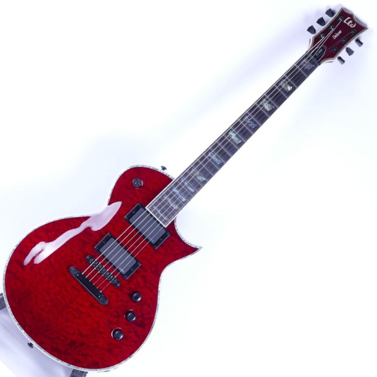 ESP Ltd F-1004 See Thru Black (B stock) | Live Louder